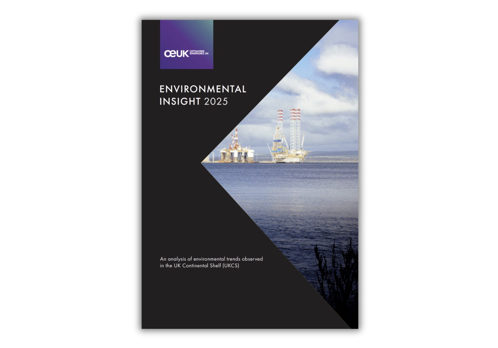 Environmental Insight 2025 | Offshore Energies UK (OEUK)
